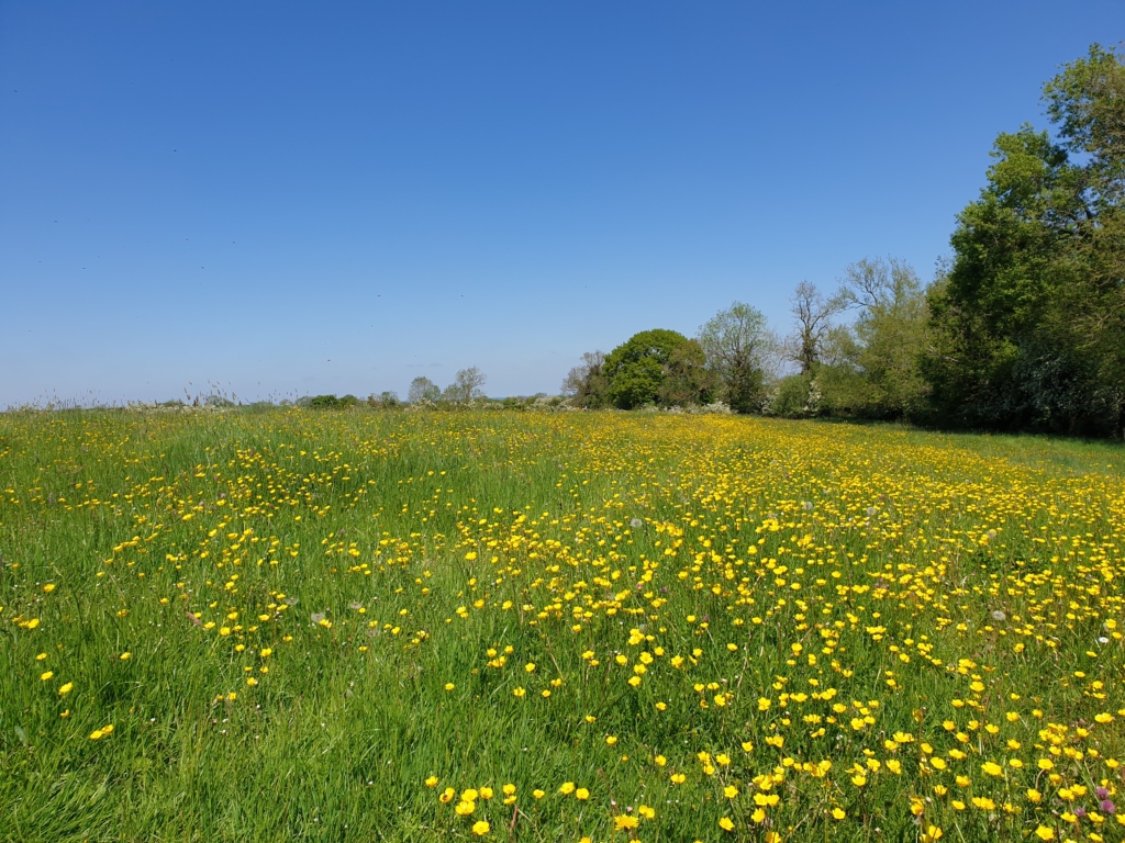 Walk The Cross Bucks Way in 2026