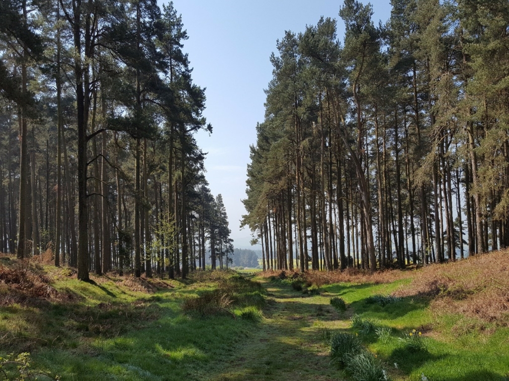 Walk St Cuthbert’s Way in 2026