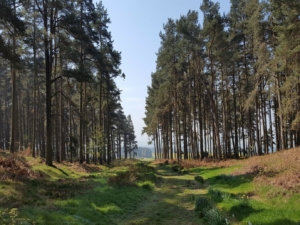 Walk St Cuthbert’s Way in 2026