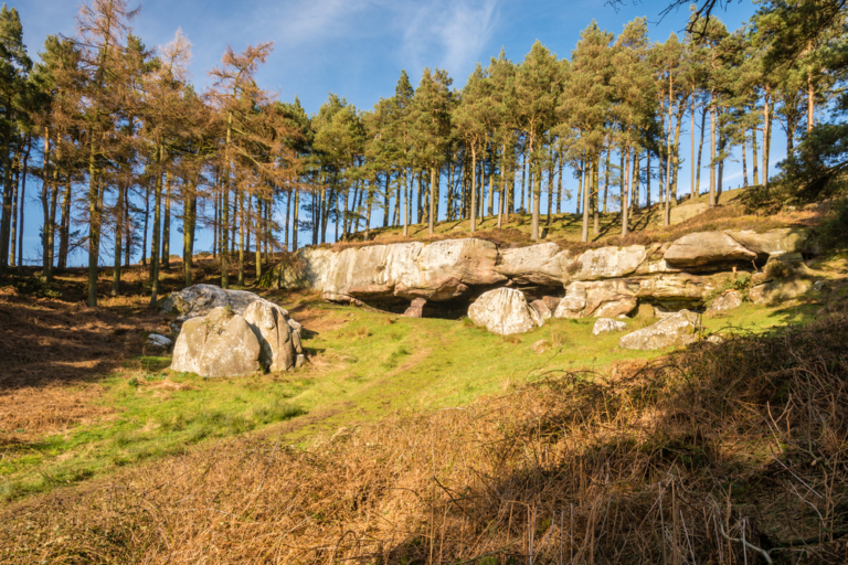 Walk St Cuthbert’s Way in 2026
