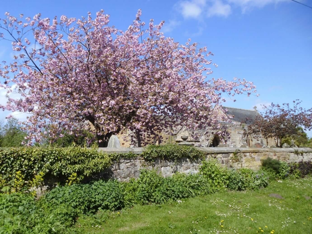 Walk St Oswald’s Way in 2026